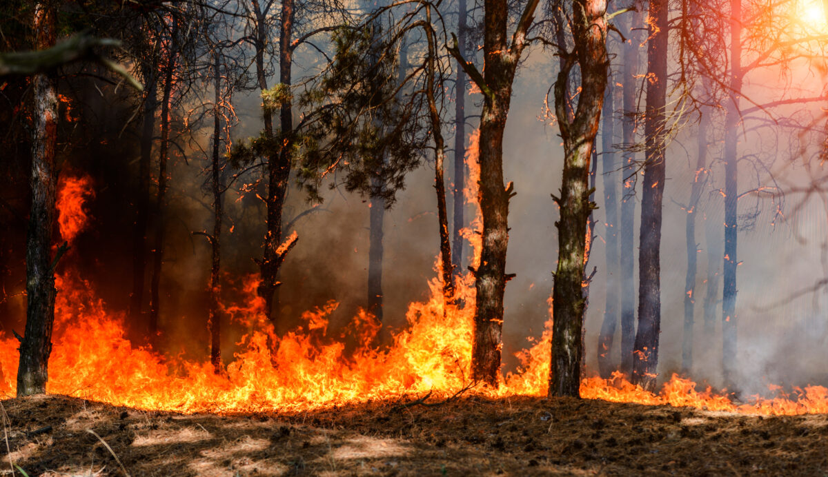 Utah officials urge residents to prepare for wildfire season during ...